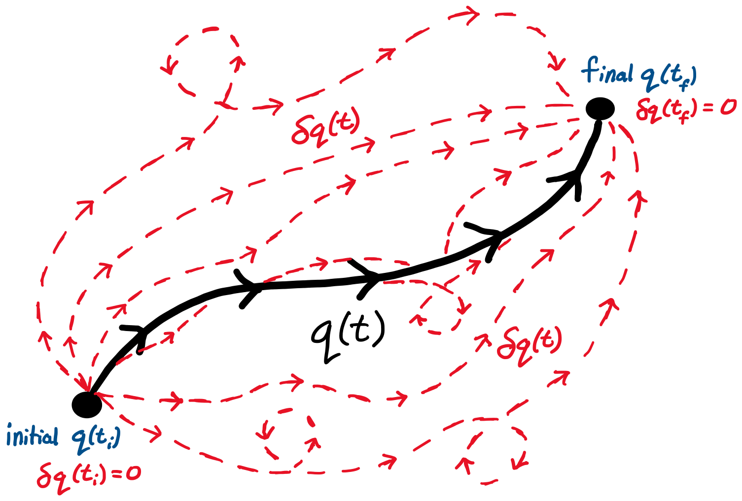 2.2 — The Principle of Stationary Action | SAphysics